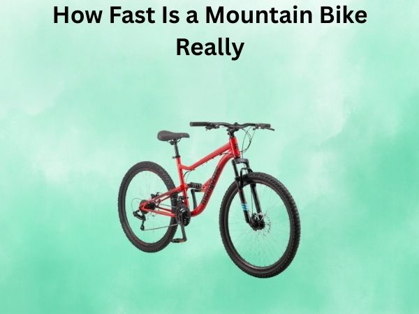 How Fast Is A Mountain Bike Really? A Complete Guide To Understanding ...
